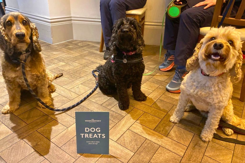 Hotel Indigo Durham Launches Dog Menu - Hotel Indigo Durham